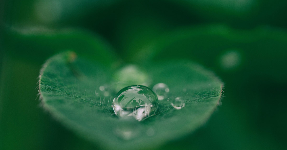 Podcast med mindfulness-øvelser uden fokus på åndedræt