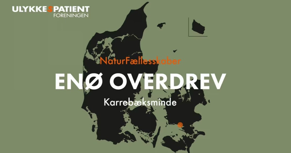 Enø Overdrev